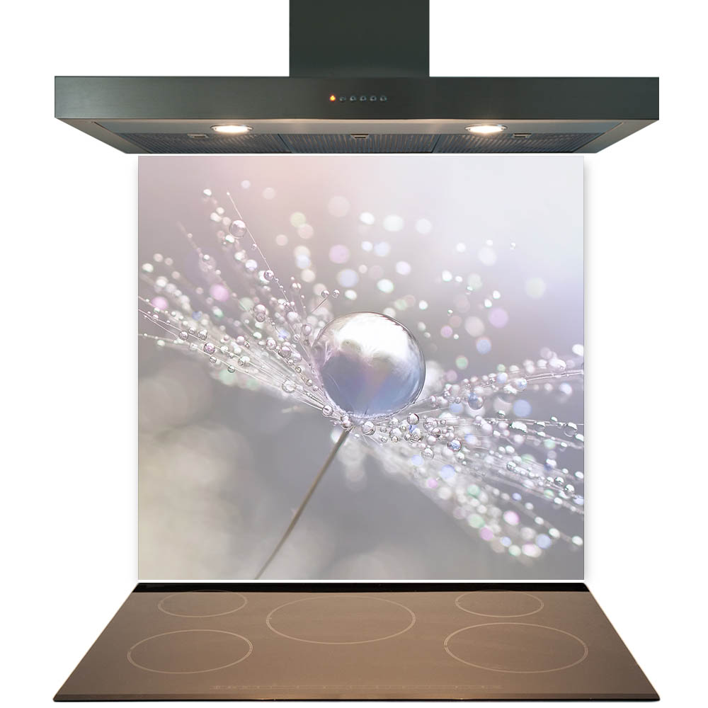 Dandelion Droplets Glass Splashback - Colour 2 Glass Splashbacks Ltd